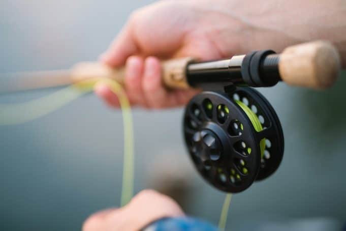 12 Best Fly Reels: The Definitive Guide (In-Depth Reviews)