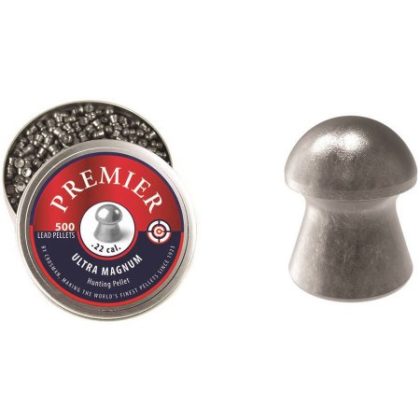 Learn More About 7 Different Types of Airgun Pellets