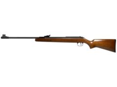 Review: RWS Model 34 .22 Caliber | Outdoor Empire