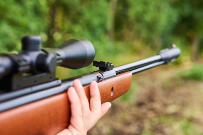 The 13 Best Air Rifles Reviewed & Revealed ( Hands-on 2021 Airgun Guide)