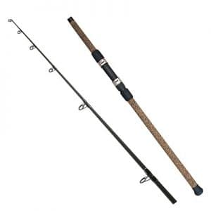 The 6 Best Surf Fishing Rods Reviewed ( Hands-on 2021 Guide )