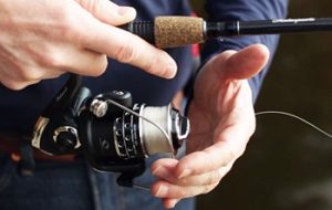 13 Best Spinning Reels Reviewed & Tested (Hands-on Guide)