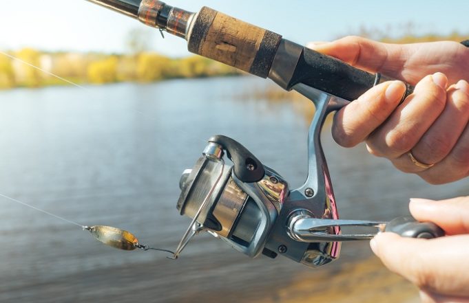 13 Best Spinning Reels Reviewed & Tested (Hands-on Guide)