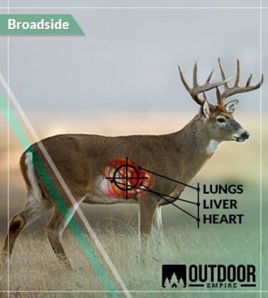 Where To Shoot A Deer: 6 Kill Zone Shot Placements with Graphics