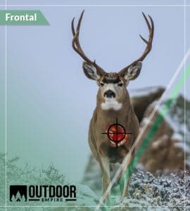 Where To Shoot A Deer: 6 Kill Zone Shot Placements with Graphics