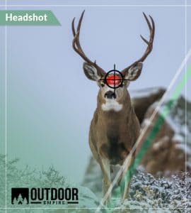 Where To Shoot A Deer: 6 Kill Zone Shot Placements with Graphics