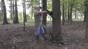 How To Use a Climbing Tree Stand (Complete Guide)