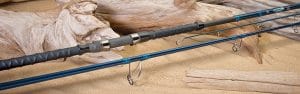 Surf Fishing 101: A Beginner’s Guide to Beach Fishing Gear & Casting