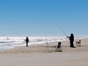 Surf Fishing 101: A Beginner’s Guide to Beach Fishing Gear & Casting