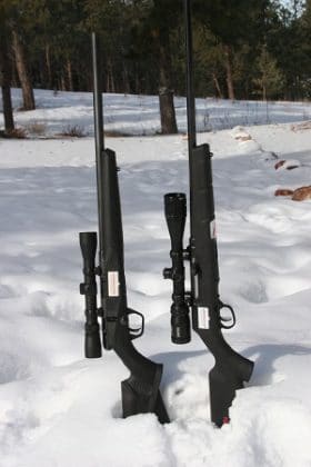 11 Best .17 HMR Rifles Tested In-Field 2021 (Savage Bolt-Action to Semi ...