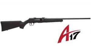 11 Best .17 HMR Rifles Tested In-Field 2021 (Savage Bolt-Action to Semi ...