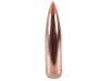 Basic Bullet Sizes, Calibers, and Types, Explained! - Outdoor Empire
