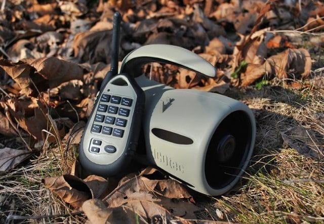 A Complete Guide to Using An Electronic Coyote Call