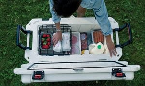 6 Best Rotomolded Coolers Reviewed in 2021 ( 6 Top Picks ) - Outdoor Empire