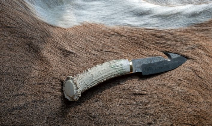 How to Tan a Deer Hide? DIY The Easy Way