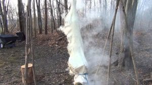 How to Tan a Deer Hide? DIY The Easy Way