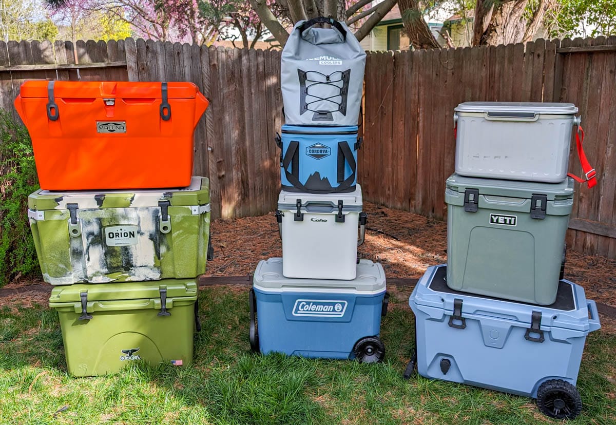 10 Best Coolers of 2024