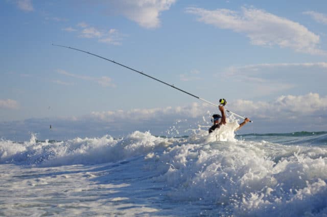 Surf Fish Types By Region & The Best Bait To Catch Them | Outdoor Empire