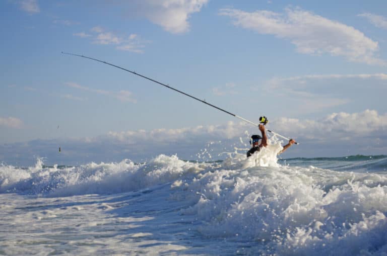 Surf Fish Types By Region & The Best Bait To Catch Them | Outdoor Empire