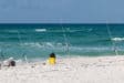 Surf Fish Types by Region & the Best Bait to Catch Them | Outdoor Empire