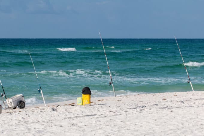 Surf Fish Types by Region & the Best Bait to Catch Them | Outdoor Empire