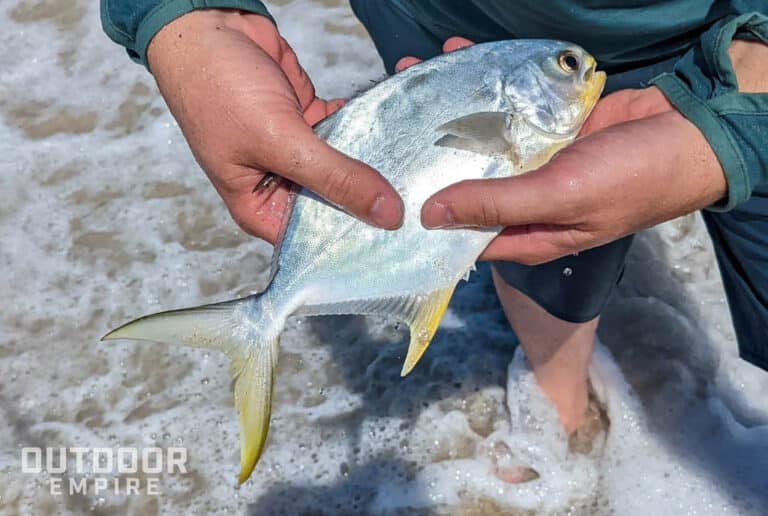 Surf Fish Types by Region & the Best Bait to Catch Them