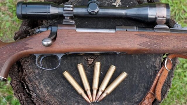 Expert Advice: The Best All Around Hunting Rifle Caliber