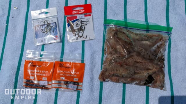 Surf Fish Types by Region & the Best Bait to Catch Them | Outdoor Empire