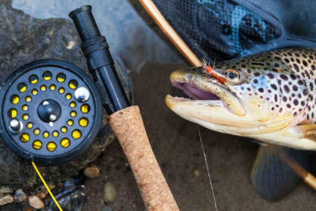 The Most Popular Types of Fishing (Common Styles & Methods)
