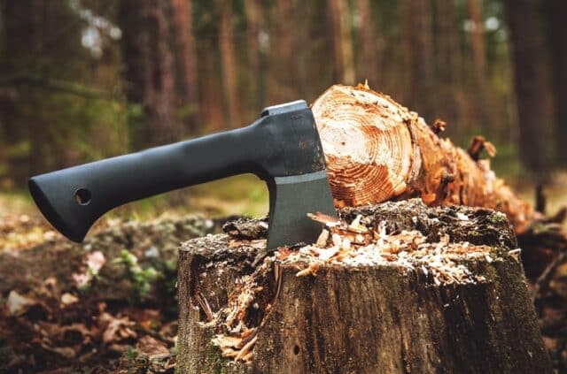 Hatchet vs Knife: Expert Camp Tool Comparison