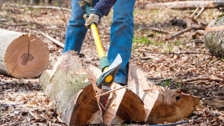 A Full Hatchet vs Axe Comparison: Splitting Wood and Hairs