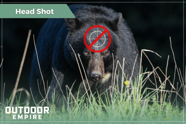 Where to Shoot a Black Bear: 6 Shot Placements with Graphics