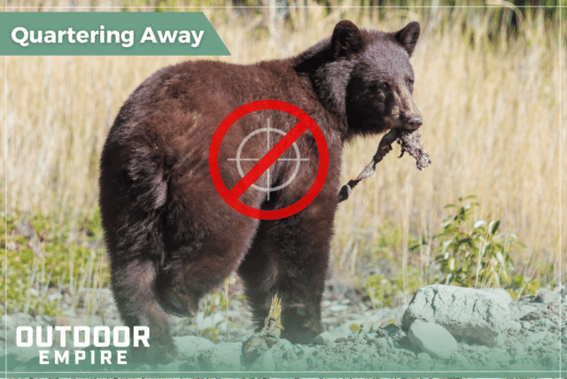 Where to Shoot a Black Bear: 6 Shot Placements with Graphics