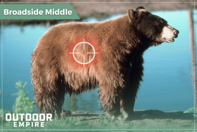 Where to Shoot a Black Bear: 6 Shot Placements with Graphics