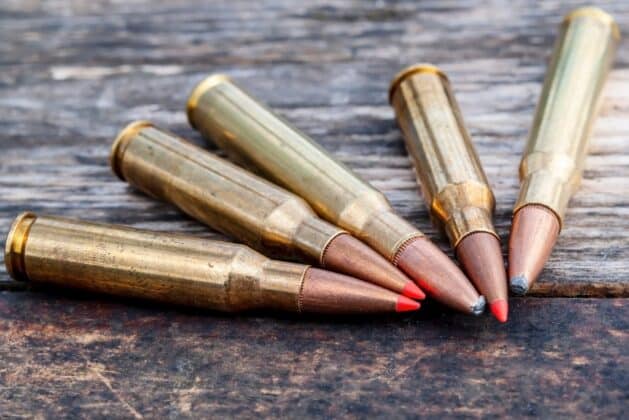 Where to Shoot a Black Bear: 6 Shot Placements with Graphics