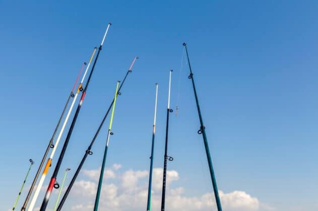 Fishing Rod Size Guide: How To Choose Fishing Rod Length