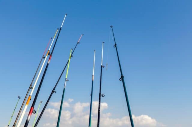 Fishing Rod Size Guide: How To Choose Fishing Rod Length