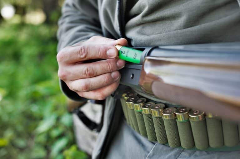Shotgun Shot Size and Shells Explained (What to Use When)