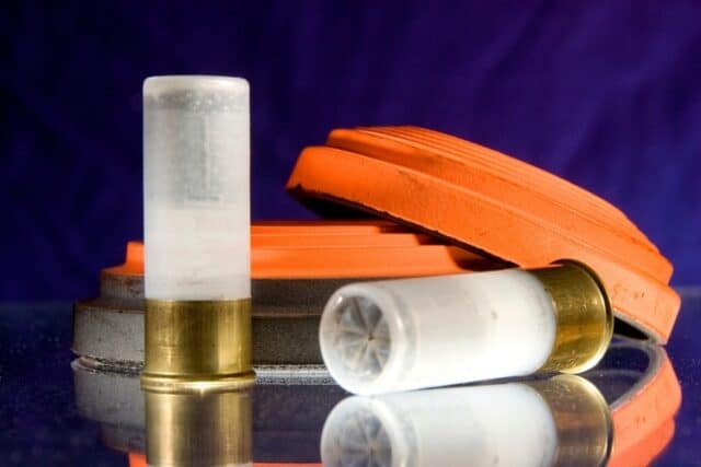 Shotgun Shot Size and Shells Explained (What to Use When)