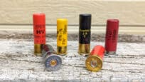 Shotgun Shot Size and Shells Explained (What to Use When)