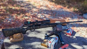 .308 for Elk Hunting: Pros, Cons, & What to Consider