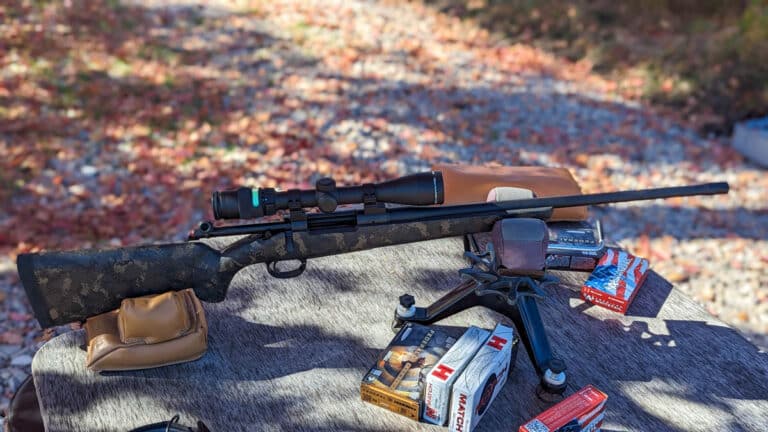 .308 for Elk Hunting: Pros, Cons, & What to Consider