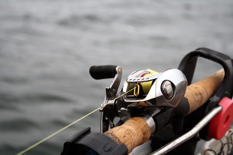 Fishing Reel Sizes Explained! All Reel Types with Charts