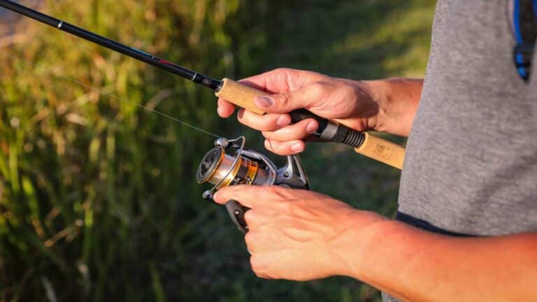 Fishing Reel Sizes Explained! All Reel Types with Charts